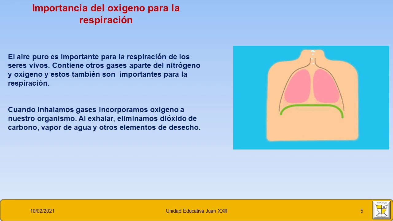 Ciencias - Componentes del aire - YouTube