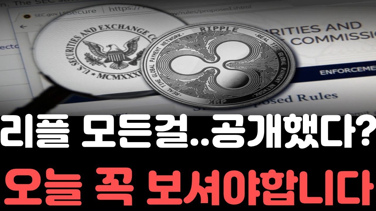 리플전망 리플 승소할 수 밖에 없는 이유와 증거를 공개한 이유는 바로 이것을위해서 오늘 영상은 꼭 보셔야합니다 리플전망