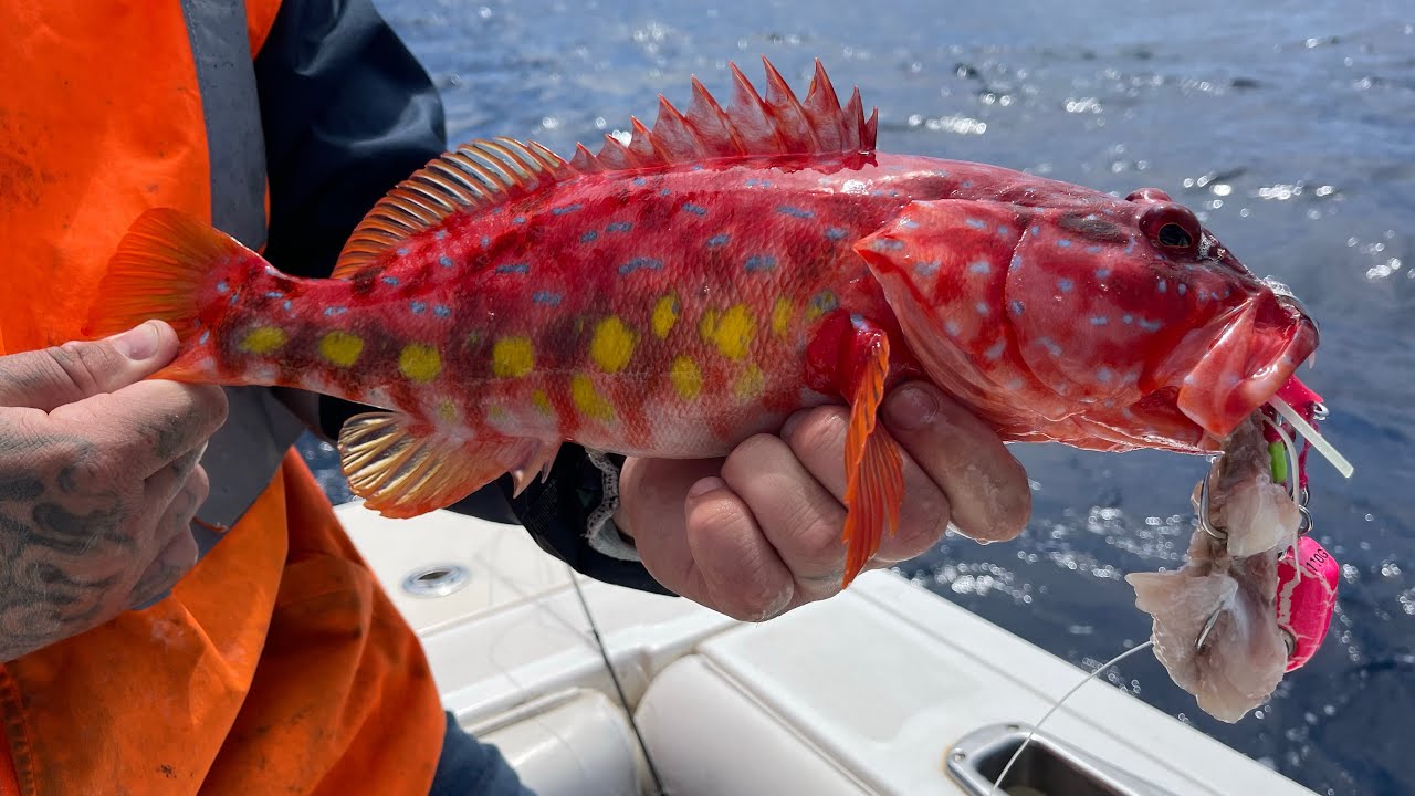 Mandurah fishing! - YouTube