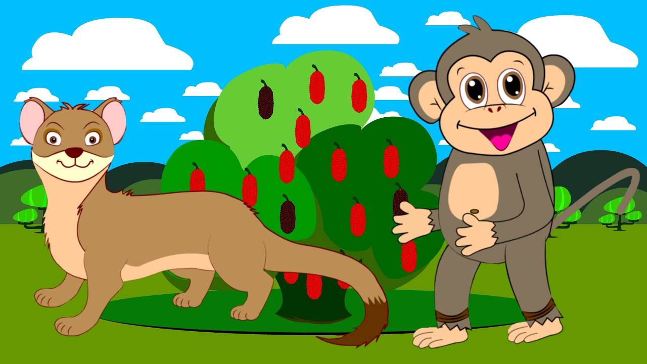 Pop Goes the Weasel - Nursery Rhymes & Song for Kids | Monkey & Weasel ...