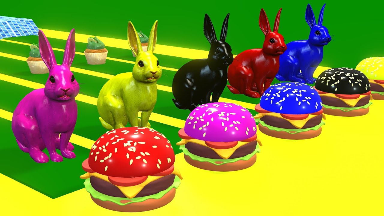 Interesting Animals Rabbids Eat Magic Hamburger and Change Color ...