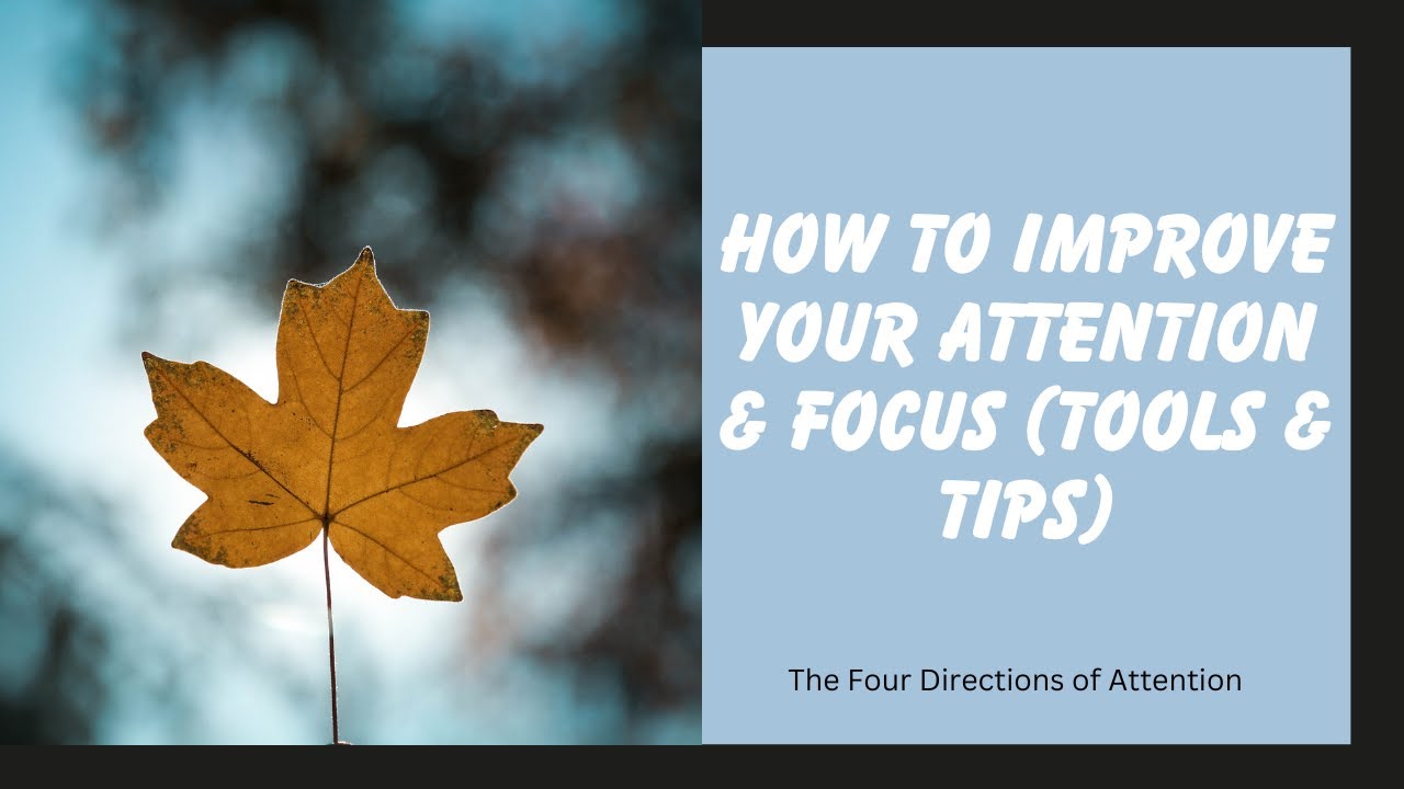 Your Complete Guide to the Four Directions of Attention - YouTube