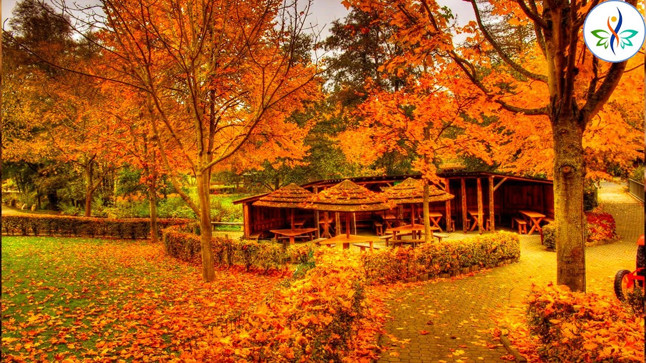 🔴 Deep Sleep Autumn Music 24/7, Calming Music, Insomnia, Relaxing Music ...