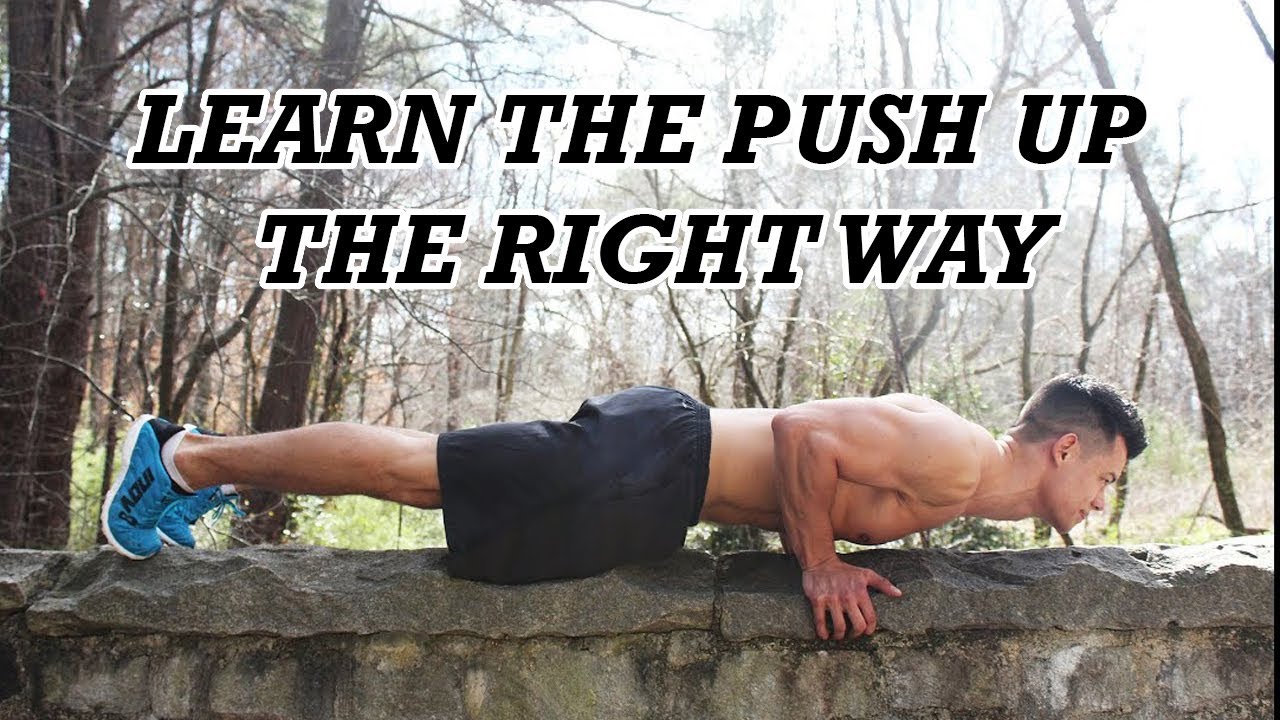 BEST Push Up Progression For Beginners | THIS ACTUALLY WORKS - YouTube
