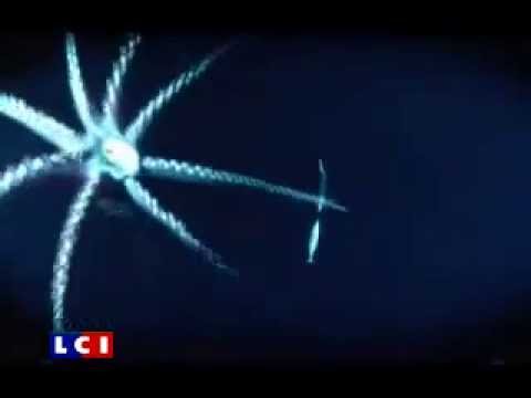 Le calamar géant un redoutable prédateur - YouTube