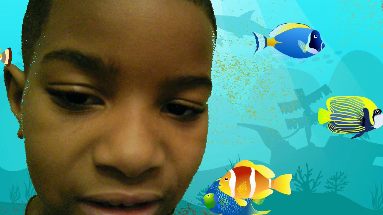 Levi's Top 4 FISH FACTS - YouTube