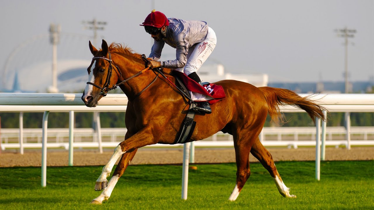 RM 21 Al Rayyan Race 2 - Al Kharrara Cup - YouTube