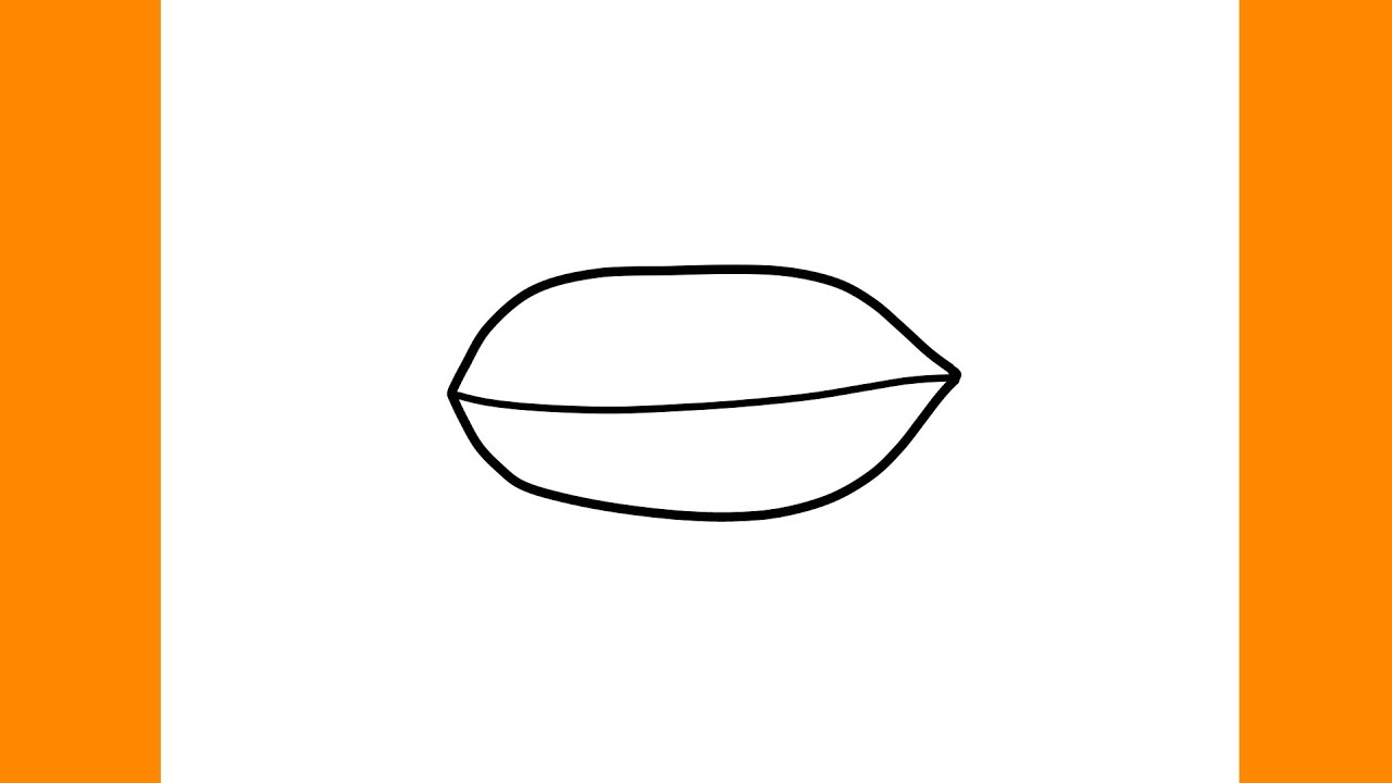 How to draw PECAN step by step - YouTube