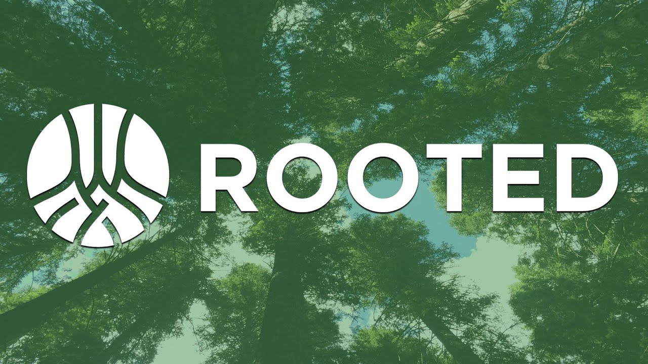 Rooted #2 | Dave Edler - YouTube
