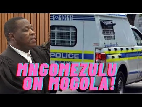 Advocate Mngomezulu Still On Sergeant Mogola! Please watch! - YouTube