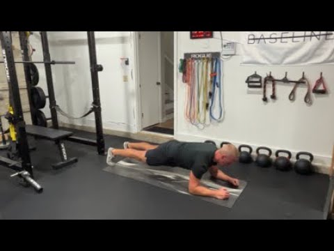 Plank with Hip Dip Rotation - YouTube