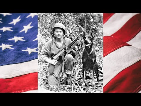 War Dogs of the Marines: The True Story of WWII Dobermans - YouTube