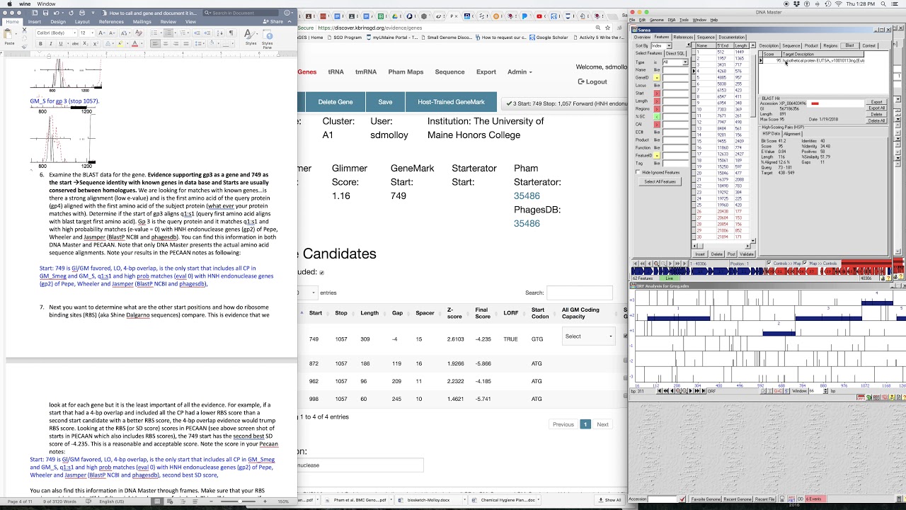 Gene Calling Part 2 2018 TRIM - YouTube