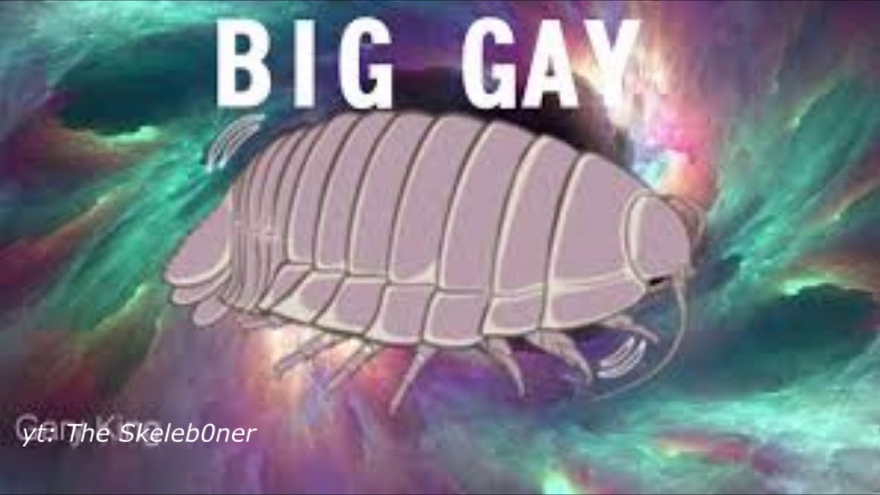 when it is currently real isopod hours - YouTube