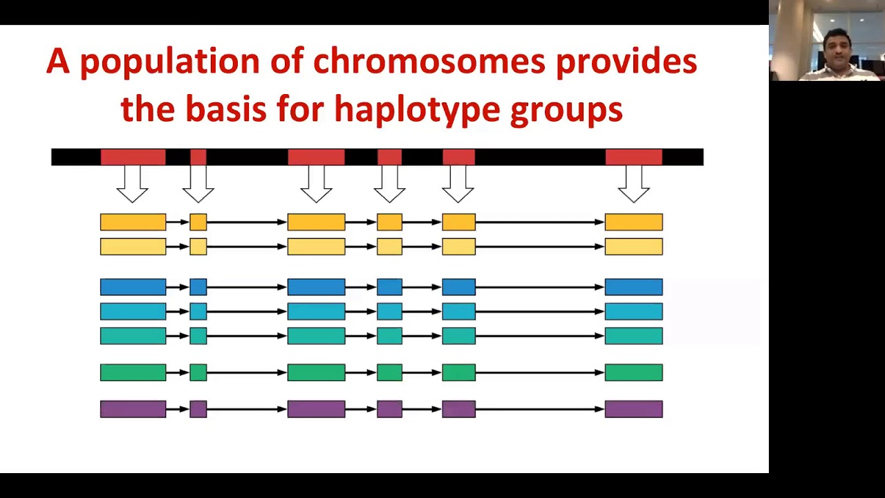6.11.2018 GOBii_Webinar_Practical_Haplotype_Graph_Dr. Ramu Punna - YouTube
