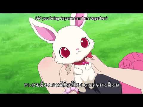 Jewel pet lady last ep