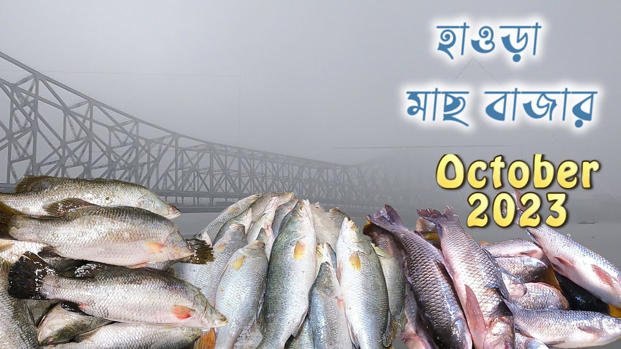 Howrah fish Market || #fishmarket || kolkata fish market || Hilsa fish ...