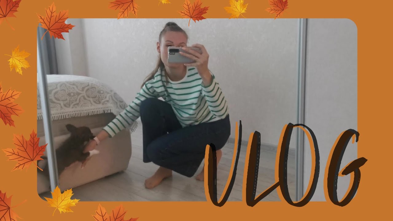 VLOG 26.09.2023 Не знаю, когда мне их снимать - YouTube