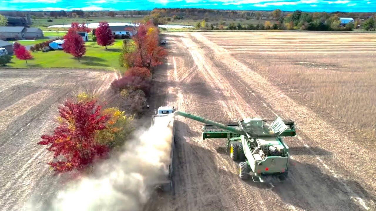 A Michigan Soybean Harvest - YouTube
