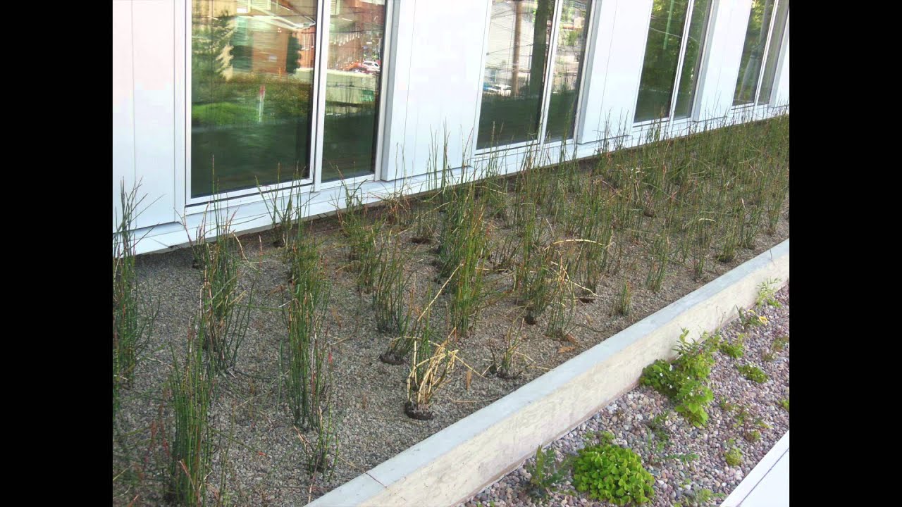 Bullitt Center Greywater - YouTube