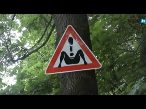 Самые необычные и смешные дорожные знаки мира 2 - YouTube
