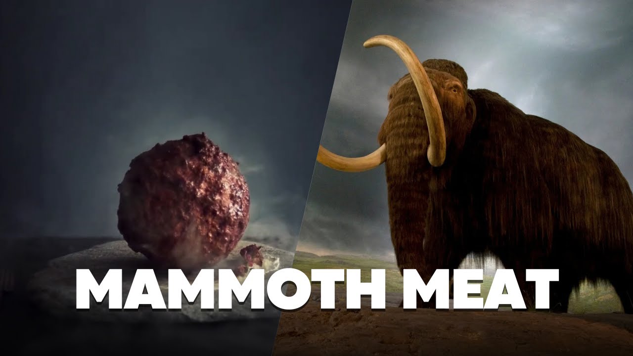 The Future of Food: An Australian Company Introduces a Mammoth Meatball ...