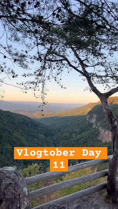 Vlogtober Day 11 #vlogtober #dailyvlog #dayinmylife #roadtrip #solotravel #georgia # ...