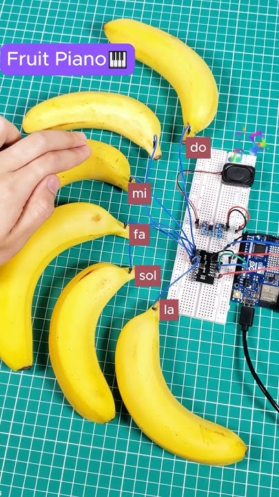 Play Music with Fruit? Discover the Banana Piano Powered by #arduino ...