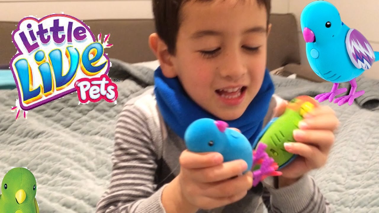 Little Live Pets Toy Review - YouTube