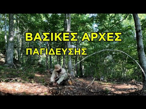 Μηχανική παγίδα με θηλιά ΚΑΤΑΣΚΕΥΗ και ΛΕΙΤΟΥΡΓΙΑ-CONSTRUCTION and ...