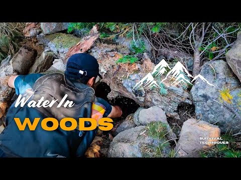 Hidden water source in woods | Water in woods - YouTube
