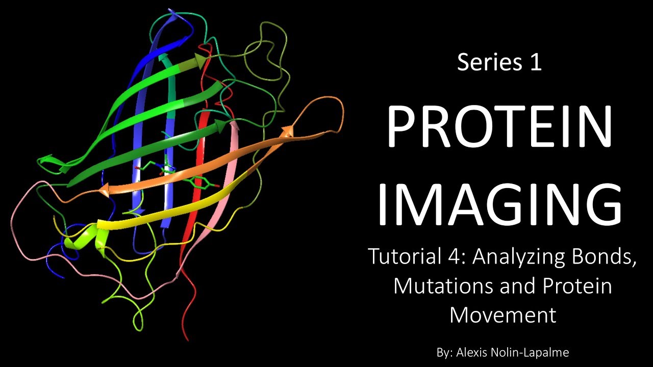 Protein Imaging - Analyzing Bonds, Mutations and Protein Movement ...