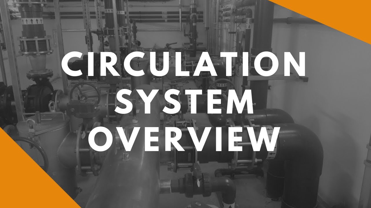 Circulation System Overview - YouTube
