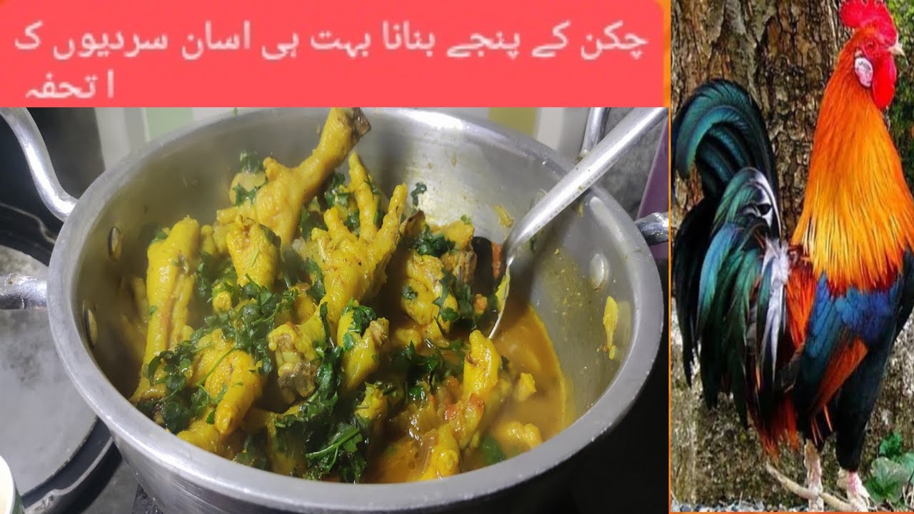 Secret recipe to make chicken claws, make delicious varieties at home ...