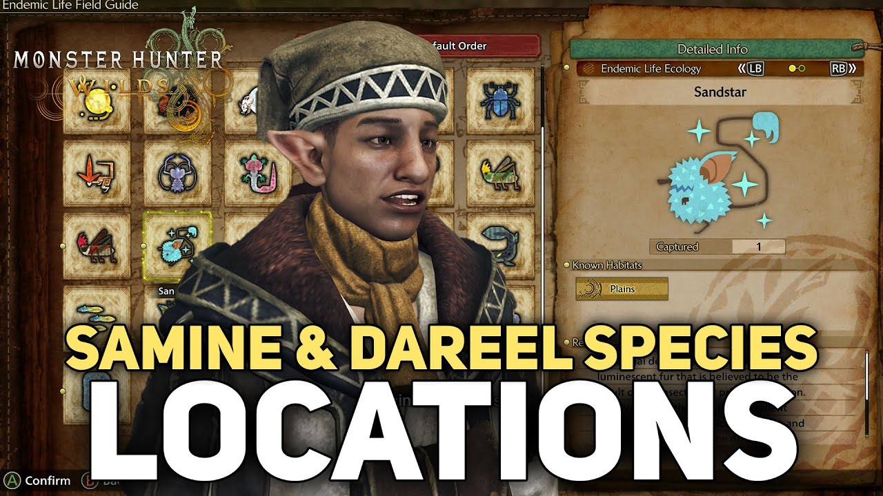 How To Catch Sandstar, Ember Rufflizard, Rime Beetle & Gillopod ...