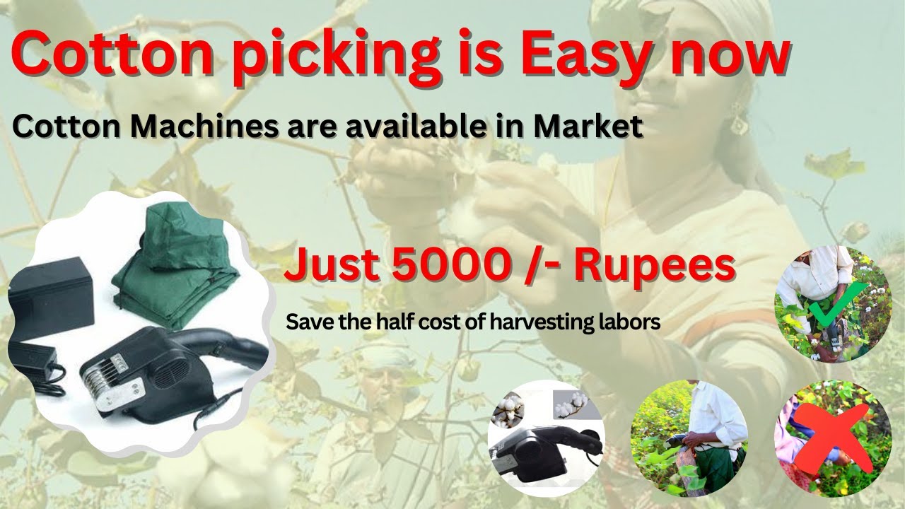 Hand Cotton Picking Machine in Action - YouTube