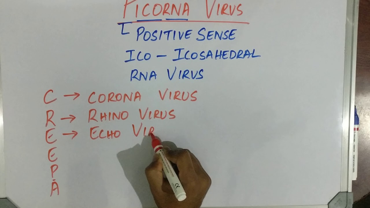 MEDICAL MNEMONIC POCKET- PICORNA VIRUS - YouTube