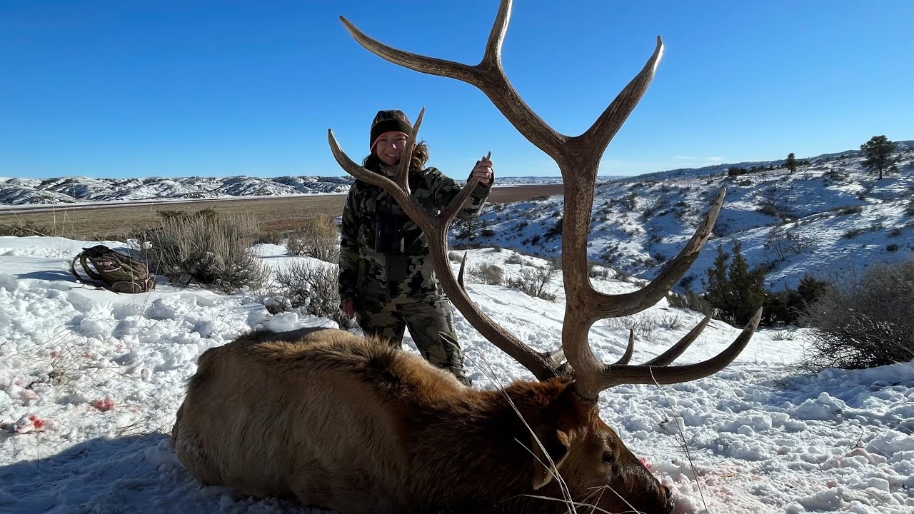 Once in a Lifetime Montana Elk Hunt - YouTube