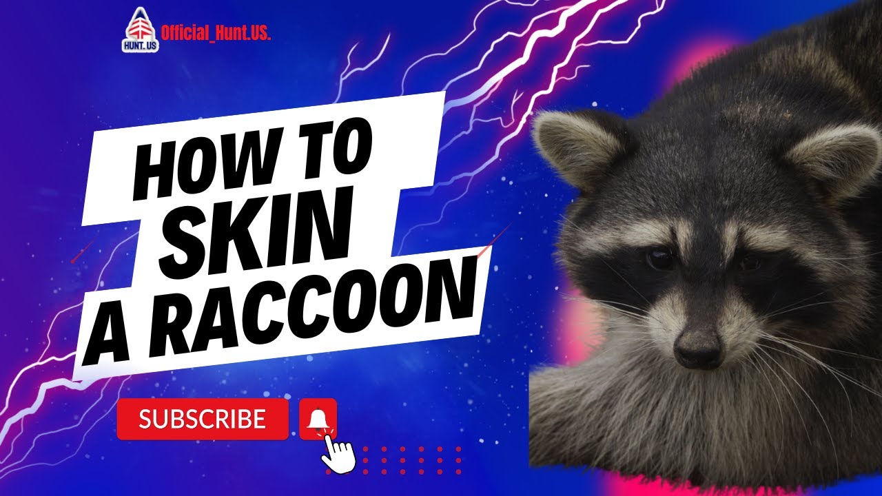 Pro Tips: Skinning a Raccoon Tutorial - YouTube