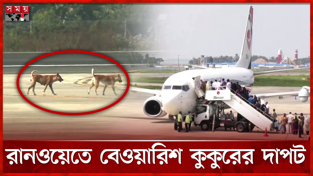 কক্সবাজার বিমানবন্দরে কুকুরের উপদ্রব | Stray Dog | Cox's Bazar | Runway ...