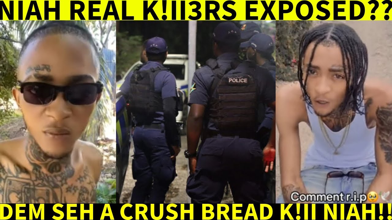 NIAH REAL K!LL3RS GOT EXPOSED BY ALLEGED GANGSTA!! CRUSH BREAD K!II ...