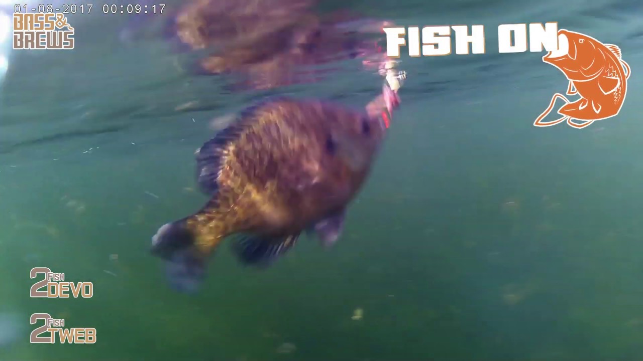 Bass & Brews Bluegill Fishing Hunters Lake Waukesha Wisconsin - YouTube