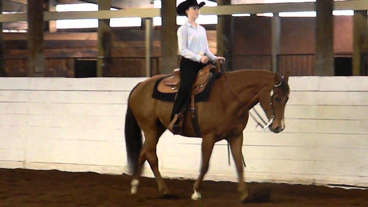Blayne Bell- NCAA/NCEA Horsemanship - YouTube