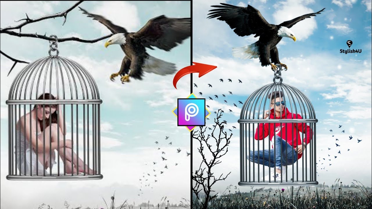 Cage Photo Editing | Pigeon Photo Editing | Pinjra Photo Editing ...