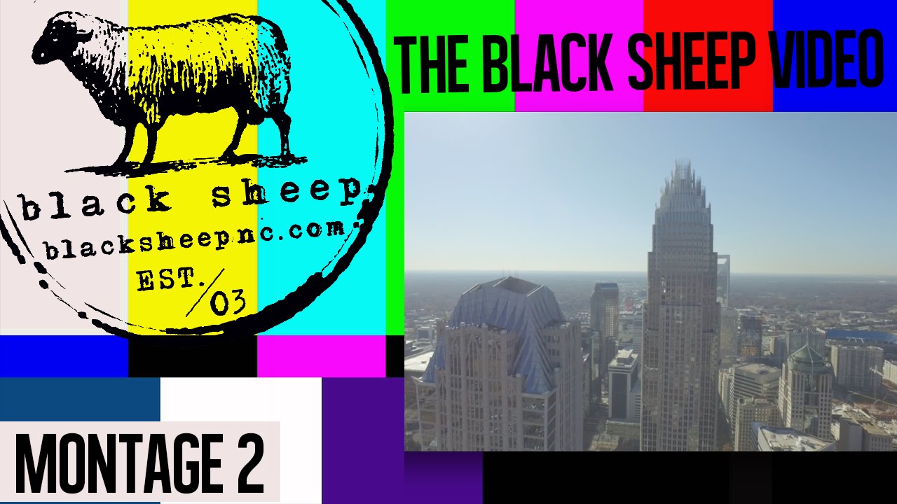 The Black Sheep Video - Montage Two - YouTube