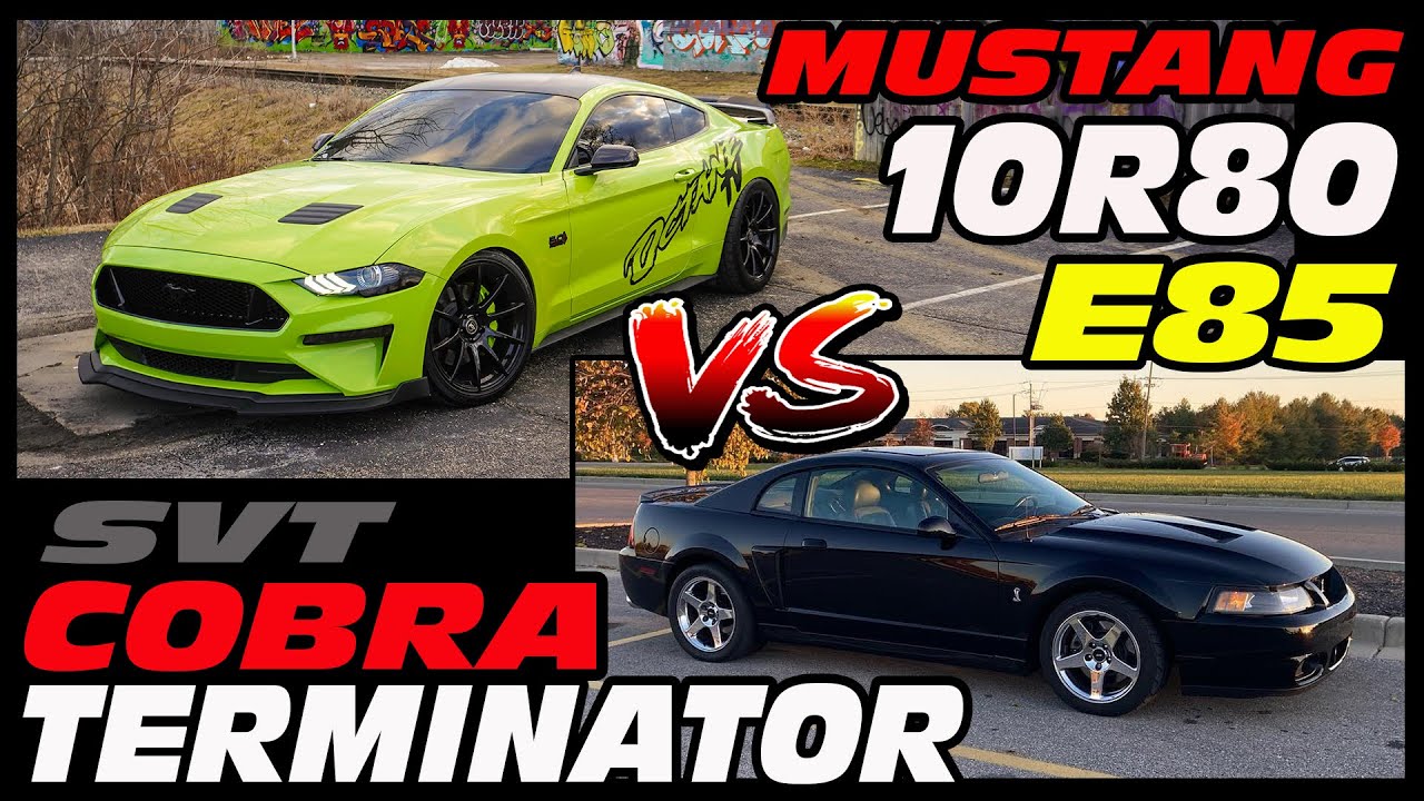MUSTANG GT 5.0 10R80 E85 VS SVT COBRA TERMINATOR - YouTube
