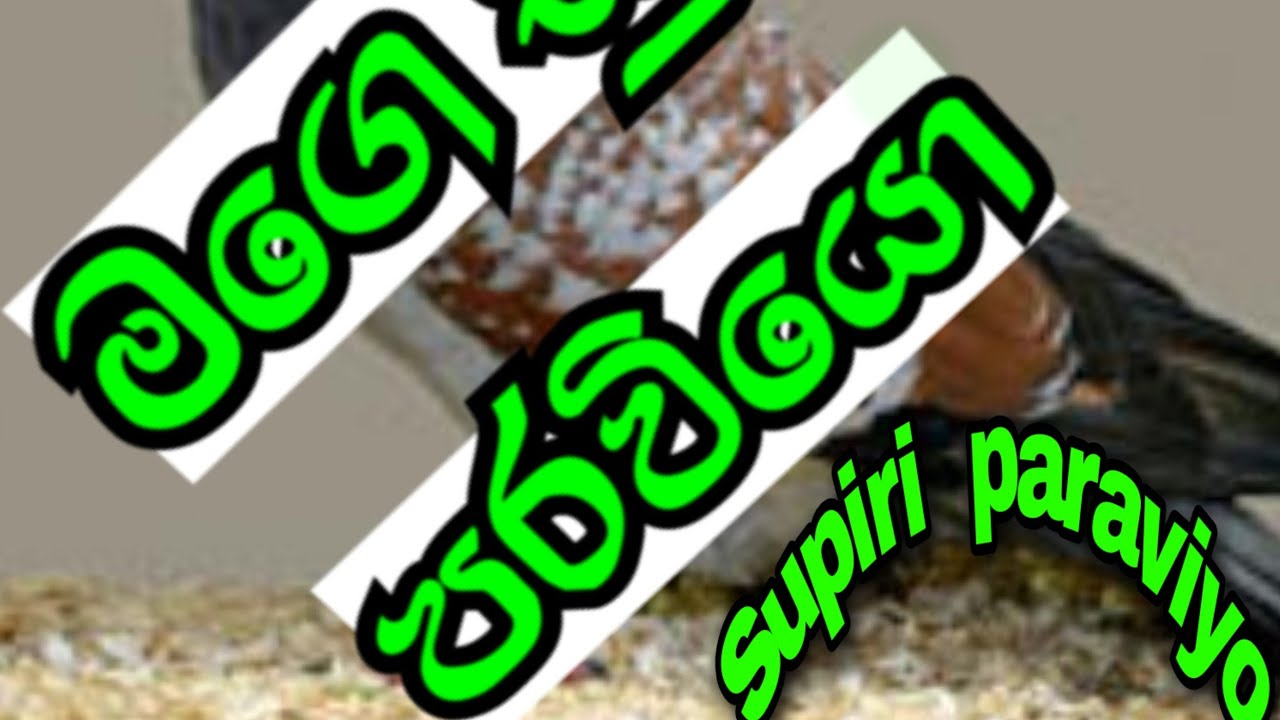 Supiri paraviyo ' paraviyo - YouTube