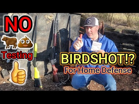 BIRDSHOT For Home Defense? NO 🐂💩 Testing. Full, Modified, Cylinder ...