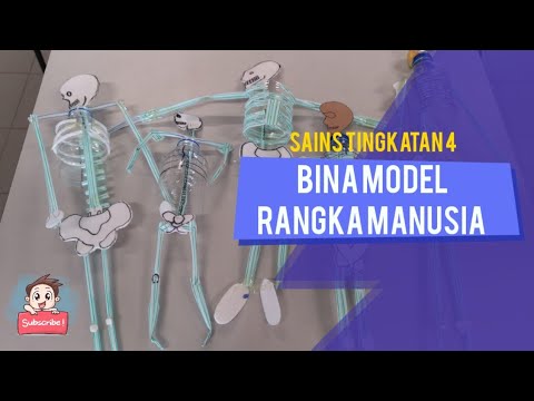 Bina Model Rangka Manusia #IBSE - YouTube