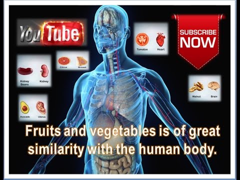 Fruits and vegetables is of great similarity with the human body